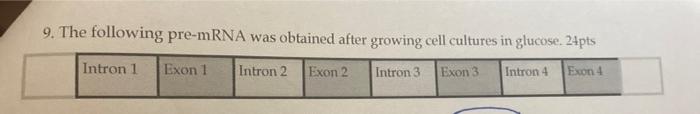 Solved c) Label each of the following boxes d) Write a | Chegg.com