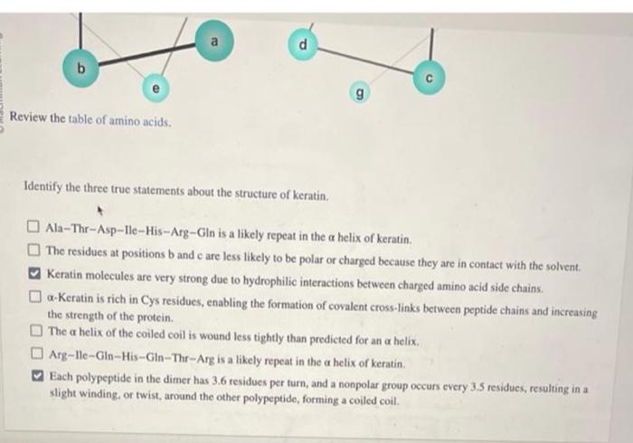 a-Keratin is an intermediate filament with a basic | Chegg.com