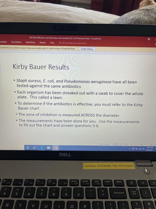 Solved Disk Diffusion and Kirby Bauer lab results Disk | Chegg.com