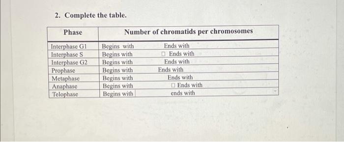 Solved 2. Complete the table. Phase Interphase G1 Interphase | Chegg.com