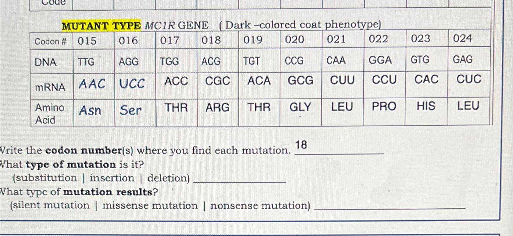 Solved MUTANT TYPE MC1R GENE (Dark-colored coat | Chegg.com