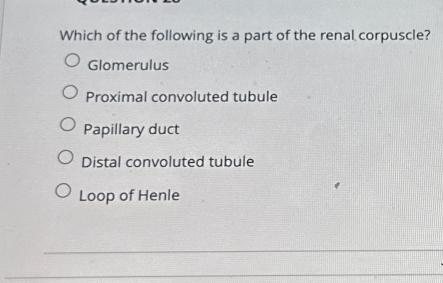 Solved Which of the following is a part of the renal | Chegg.com