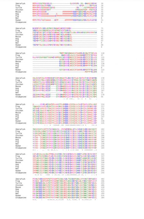 instructions: Provide examples (organism, alignment | Chegg.com