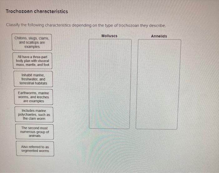 Solved Trochozoan characteristics Classify the following | Chegg.com