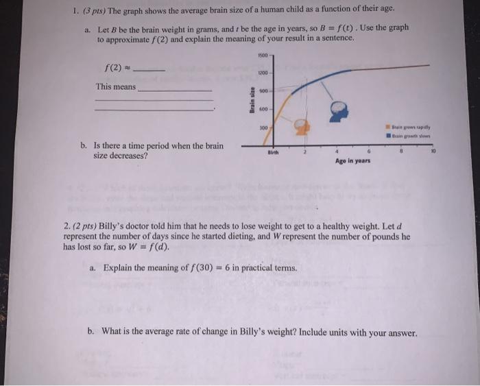 Solved 1. (3 pts) The graph shows the average brain size of | Chegg.com