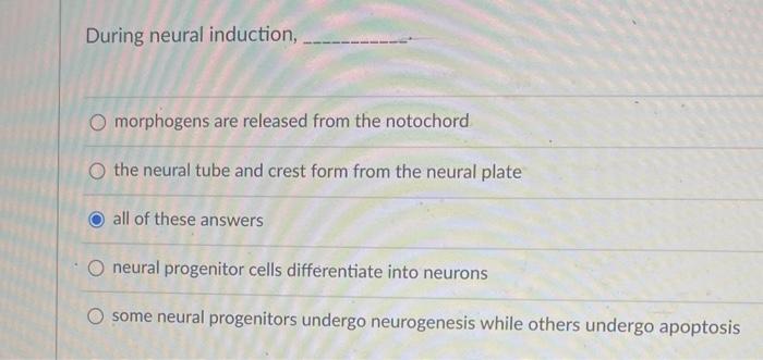 During neural induction, morphogens are released from | Chegg.com