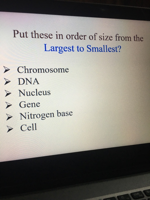Solved Put these in order of size from the Largest to | Chegg.com