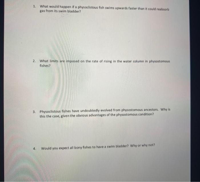Solved 1. What would happen if a physoclistous fish swims | Chegg.com