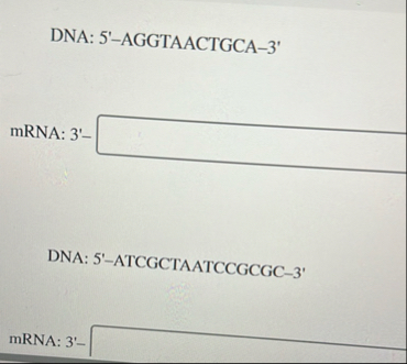 Solved Transcribe the given DNA sequences to mRNADNA: | Chegg.com