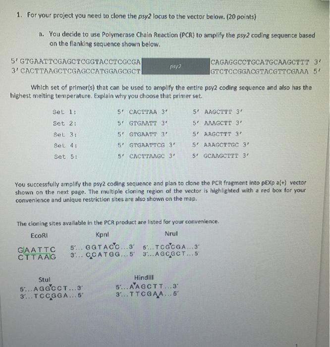 Solved 1. For your project you need to clone the psy2 locus | Chegg.com