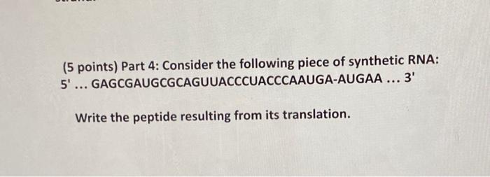 Solved (5 points) Part 1: (Integrative Problem) Create a | Chegg.com