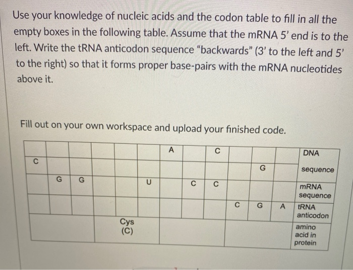 Solved Use your knowledge of nucleic acids and the codon | Chegg.com