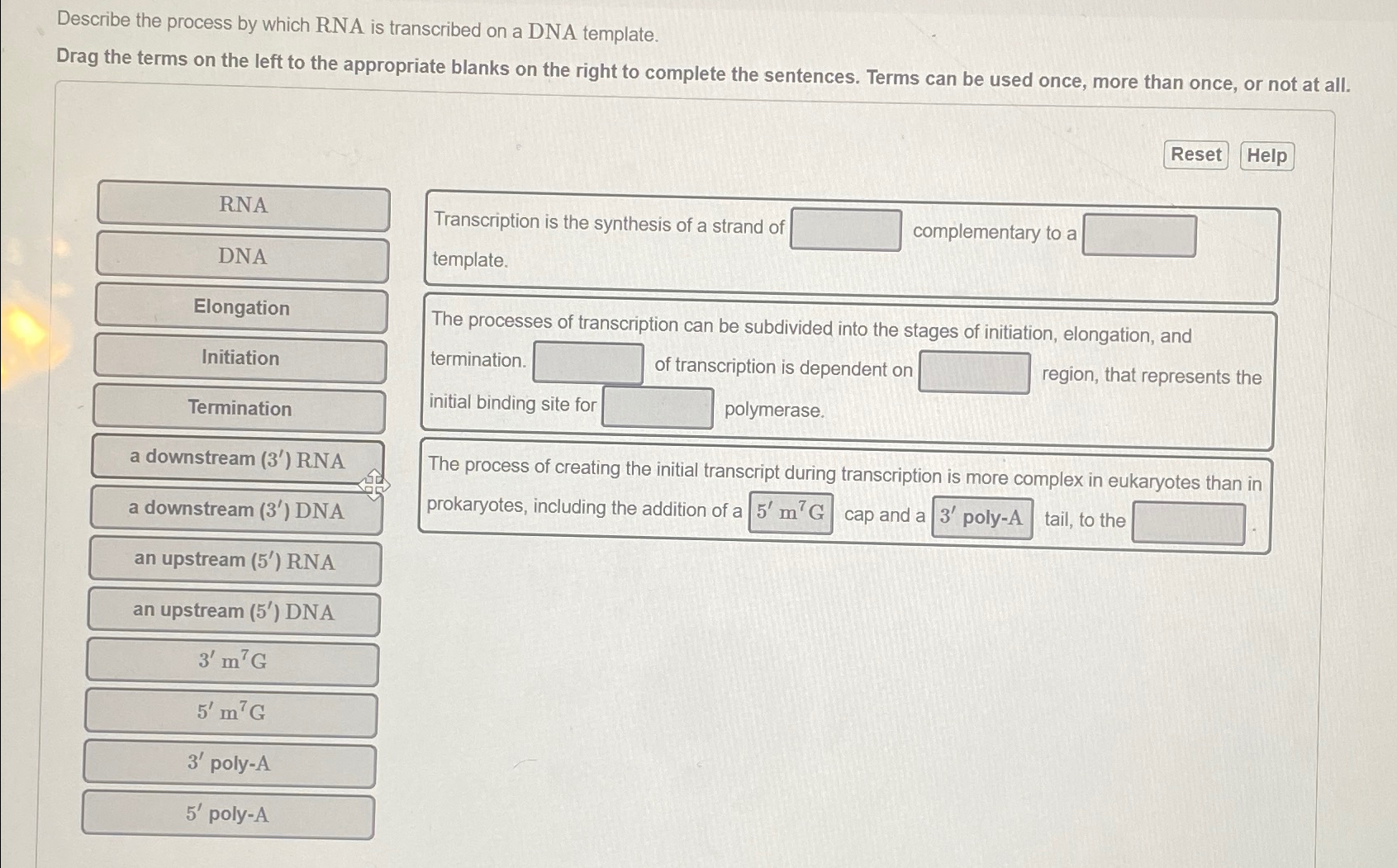 Solved Describe the process by which RNA is transcribed on a | Chegg.com