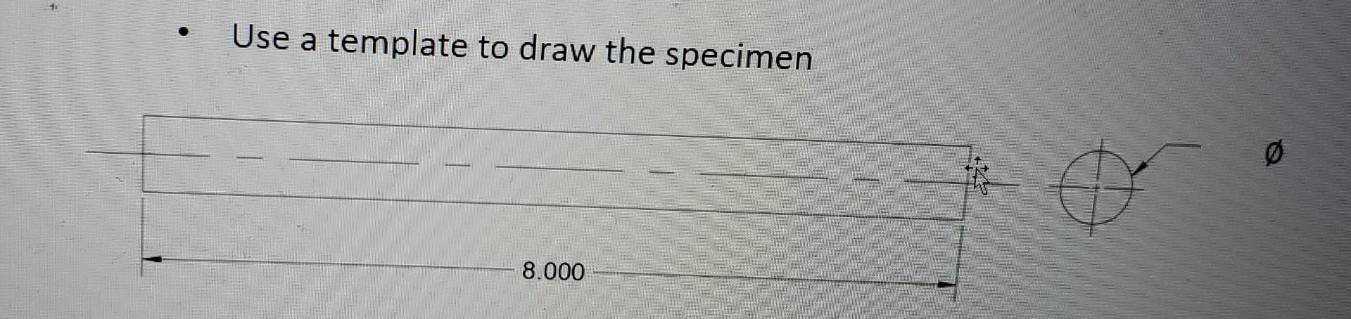 Use a template to draw the specimen | Chegg.com