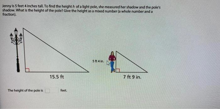Solved Jenny is 5 feet 4 inches tall. To find the heighth of | Chegg.com