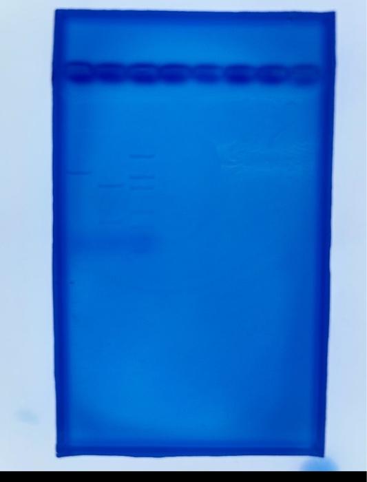 7. Create a publication quality figure using the | Chegg.com