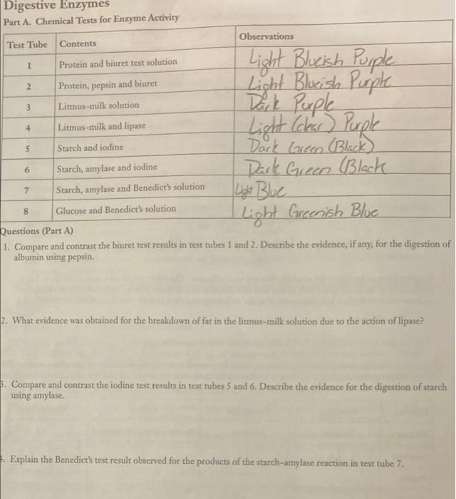 Solved Digestive Enzymes Part A. Chemical Tests for Enzyme | Chegg.com