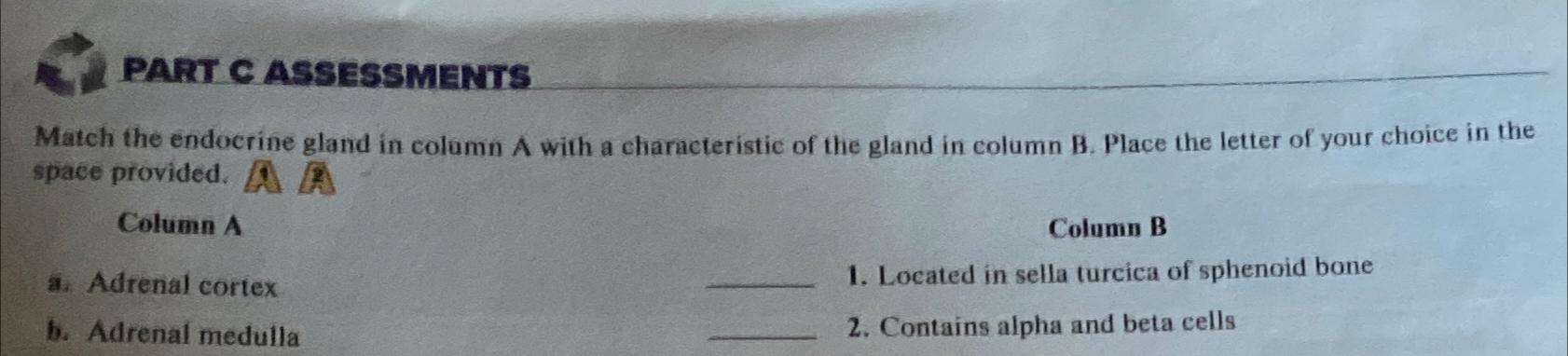 Solved PART C ASSESSMENTSMatch the endocrine gland in column | Chegg.com