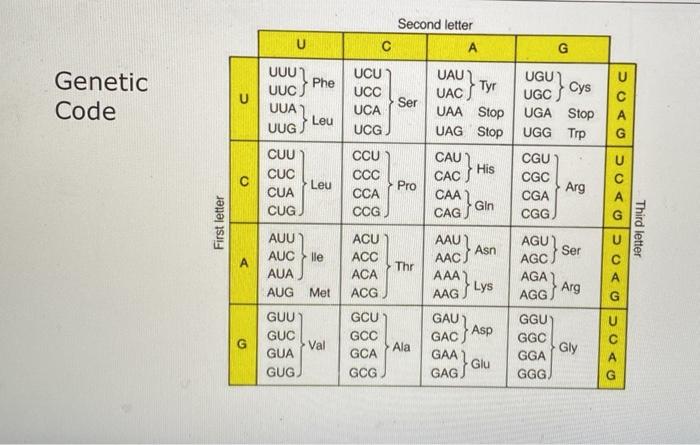 Solved Genetic Code Activity Step 1. Fill in the | Chegg.com