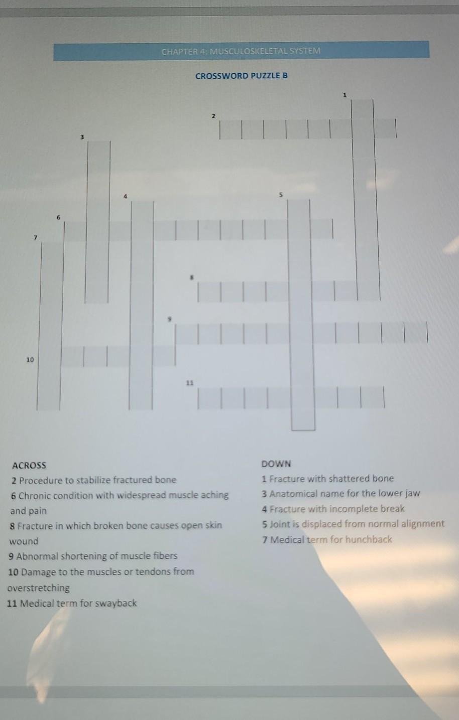 Solved CHAPTER 4: MUSCULOSKELETAL SYSTEM CROSSWORD PUZZLE B | Chegg.com