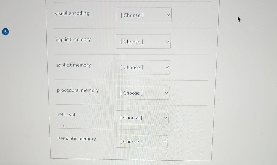Solved visual encodingimplicit memoryexplicit | Chegg.com