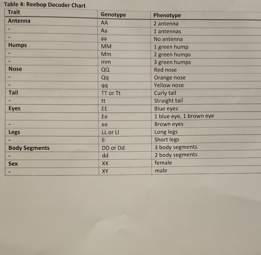 Solved Table 4: Reebop Decoder Chart Trait Antenna Genotype | Chegg.com