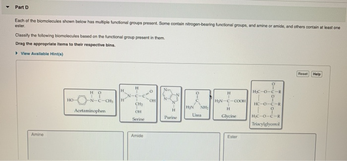 Solved Part A Sort each of the molecules shown into the bin | Chegg.com