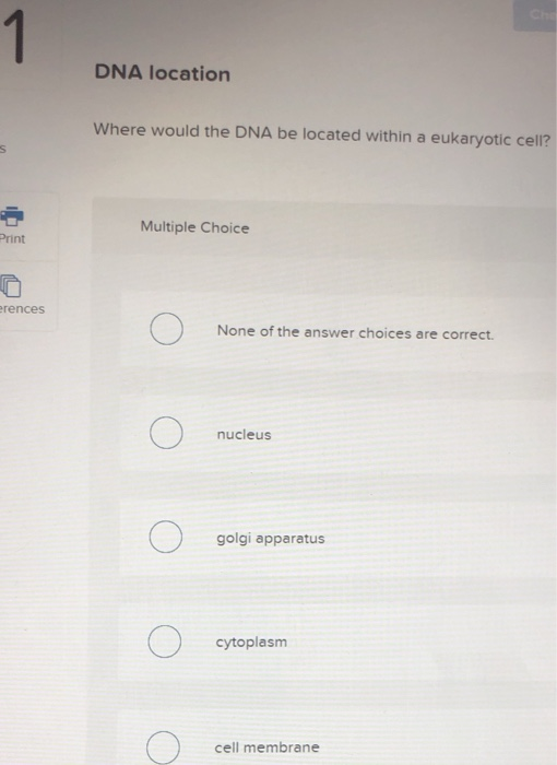 Solved 1 DNA location Where would the DNA be located within | Chegg.com