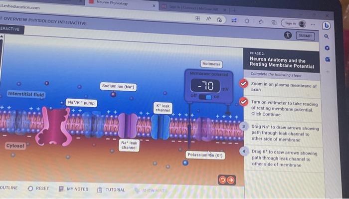 3 Drag Na* to draw arrows showing path through leak | Chegg.com