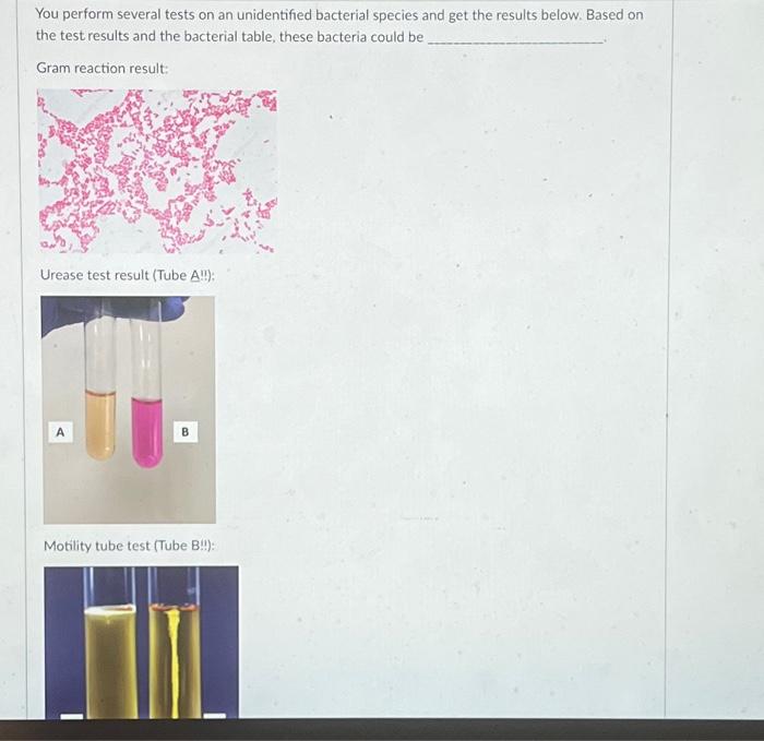 Solved You perform several tests on an unidentified | Chegg.com