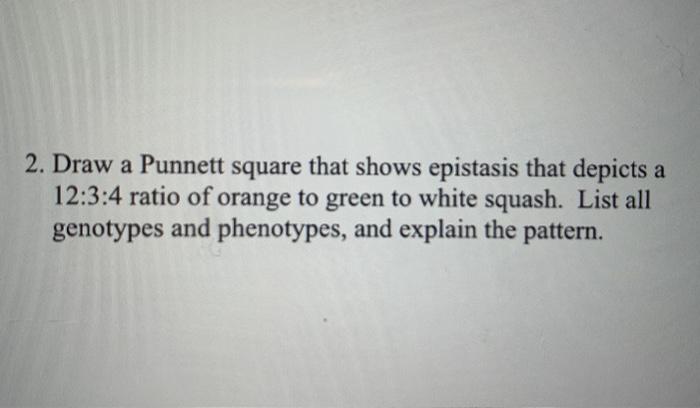 Solved 2 Draw A Punnett Square That Shows Epistasis That