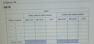 Solved LabOuest 14BDATA\table[[Tatien 1],[Refex | Chegg.com