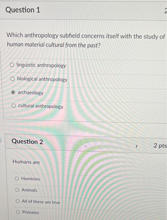 Which anthropology subfield concerns itself with the | Chegg.com