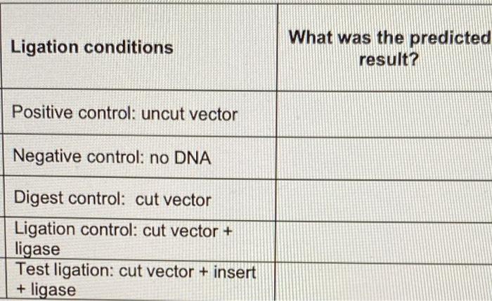 Ligation conditions What was the predicted result? | Chegg.com