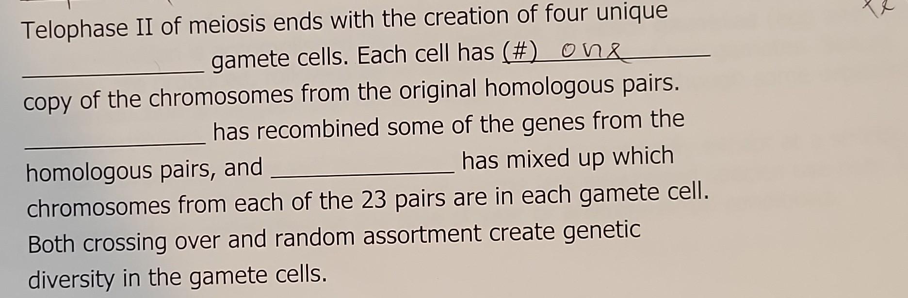 Solved Telophase II of meiosis ends with the creation of | Chegg.com