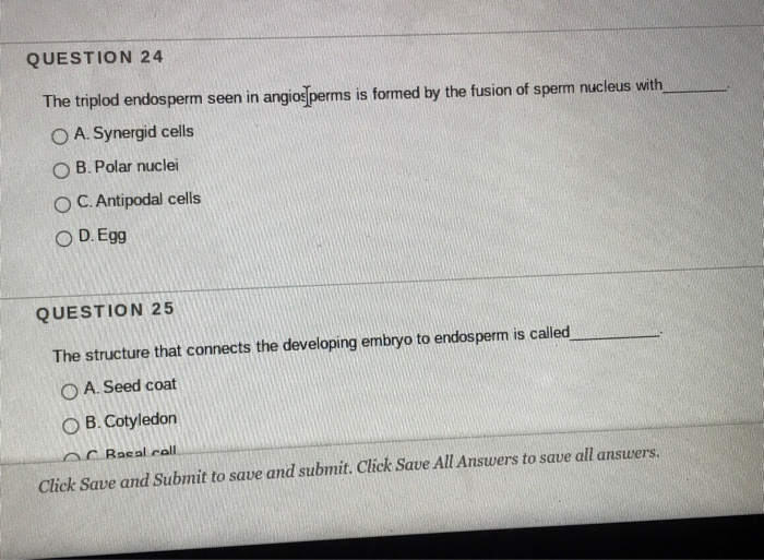 Solved QUESTION 24 The triplod endosperm seen in angiosperms | Chegg.com