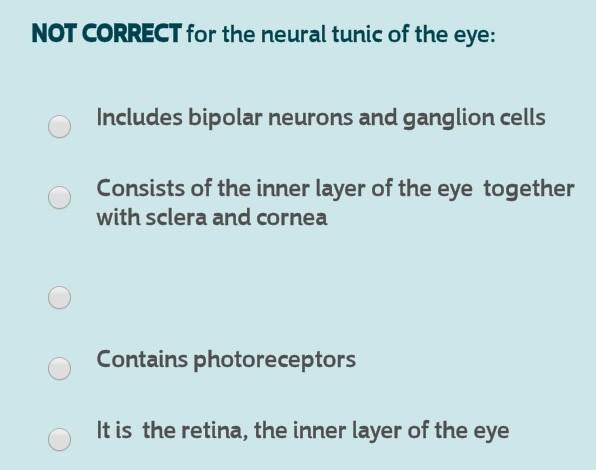 Solved NOT CORRECT for the neural tunic of the eye: Includes | Chegg.com