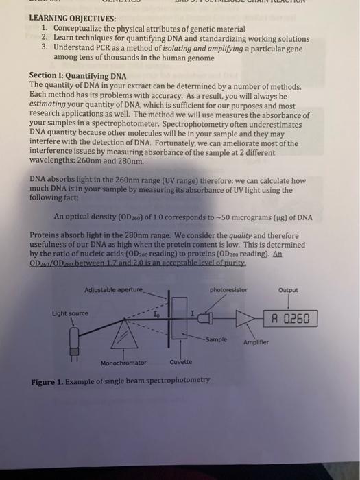 Solved LEARNING OBJECTIVES: 1. Conceptualize the physical | Chegg.com