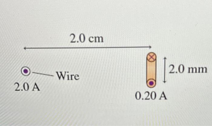 Solved What is the magnitude of the torque on the current | Chegg.com