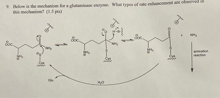 Solved 9. Below is the mechanism for a glutaminase enzyme. | Chegg.com