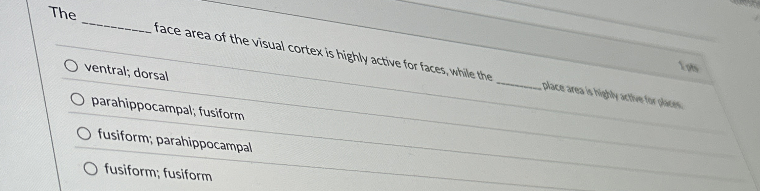 Solved The q, ﻿face area of the visual cortex is highly | Chegg.com