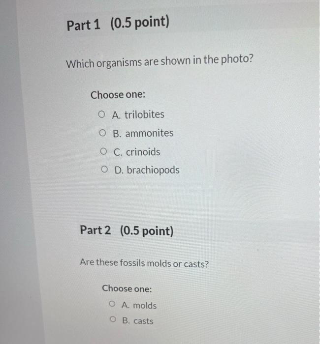 Solved 1st attempt Part 1 ( 0.5 point) Which organisms are | Chegg.com Solved 1st attempt Part 1 ( 0.5 point) Which organisms are | Chegg.com