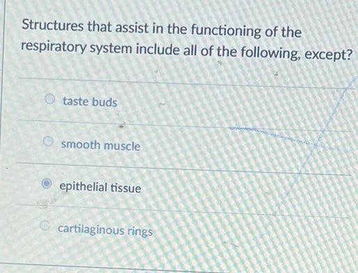 Solved Structures that assist in the functioning of the | Chegg.com