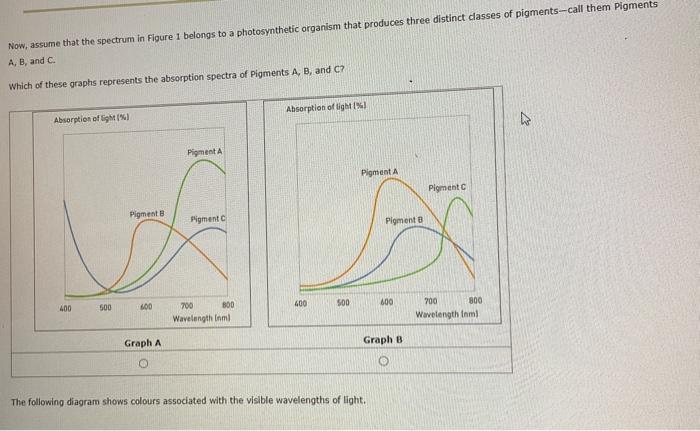 Solved 2. How absorption and action spectra arce felated | Chegg.com