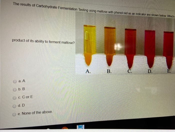Solved The results of carbohydrate fermentation testing | Chegg.com