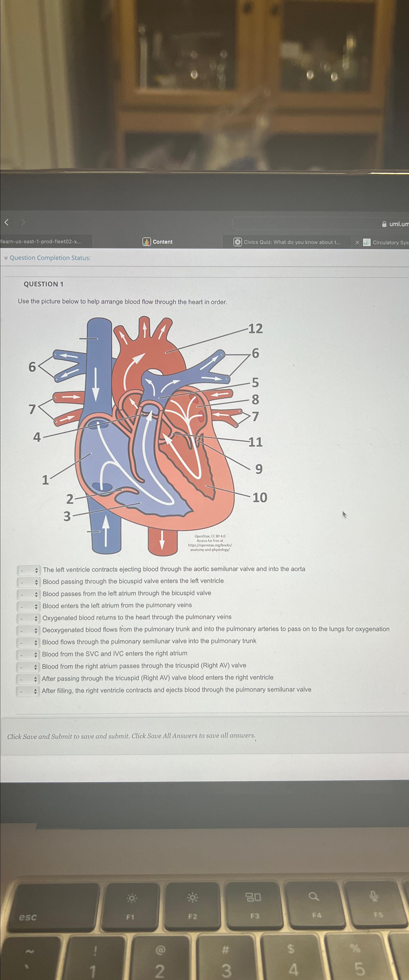 Solved QUESTION 1Use the picture below to help arrange blood | Chegg.com