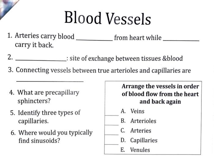 Solved Accurately Complete the following Questions 1-6Then | Chegg.com