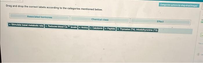 Solved Drag and drop the correct labels according to the | Chegg.com