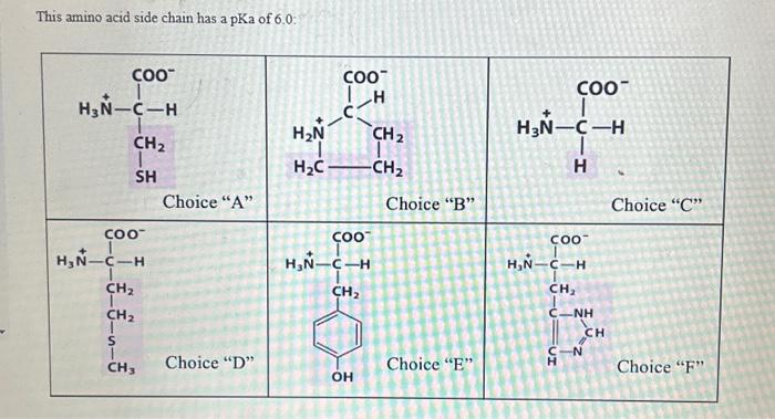 Solved This Amino Acid Side Chain Has A Pka Of 60