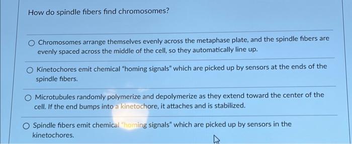 Solved How do spindle fibers find chromosomes? Chromosomes | Chegg.com